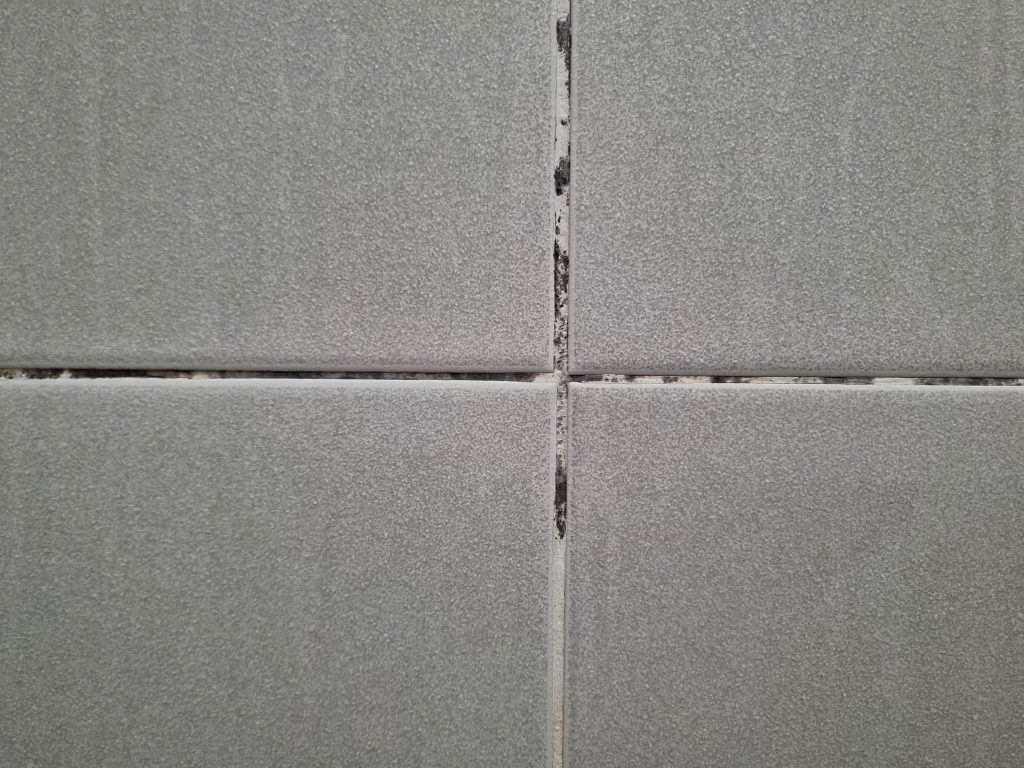 Roff | How to Choose the Best Chemical for Cleaning Tiles