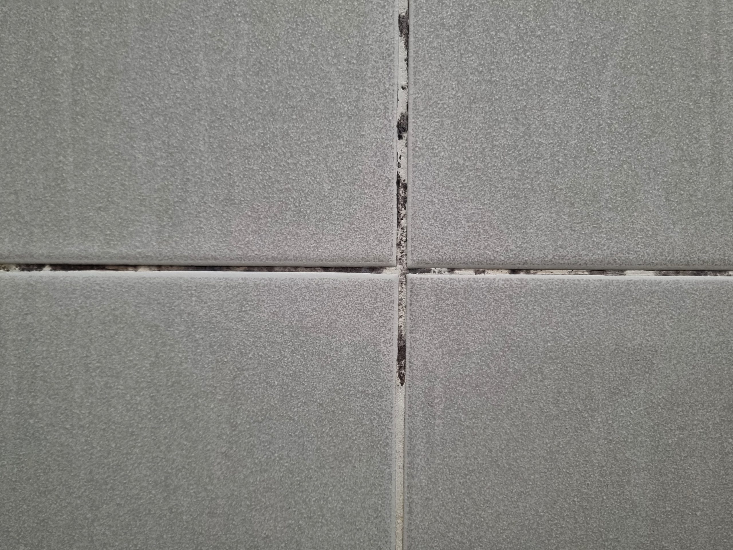 Everything about using tile adhesives, grouting and sealants in pool tiling